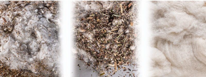 Minimizing blow room cotton waste to almost zero – Trützschler – true ...